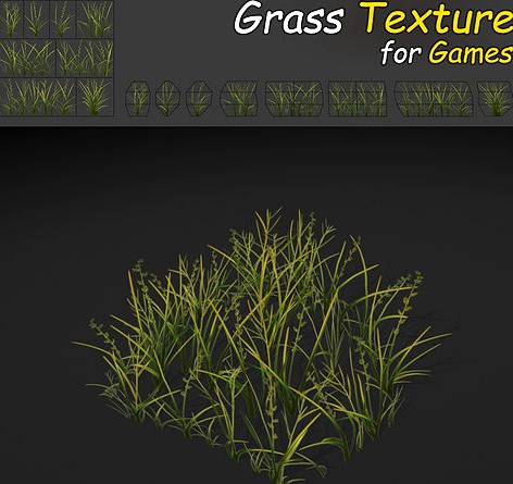 Plains Grass Texture 3d model