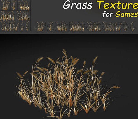 Dry WheatGrass Texture 3d model