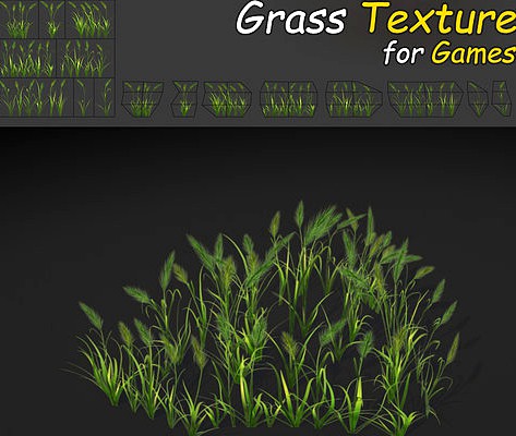 Feather Grass Texture 3d model