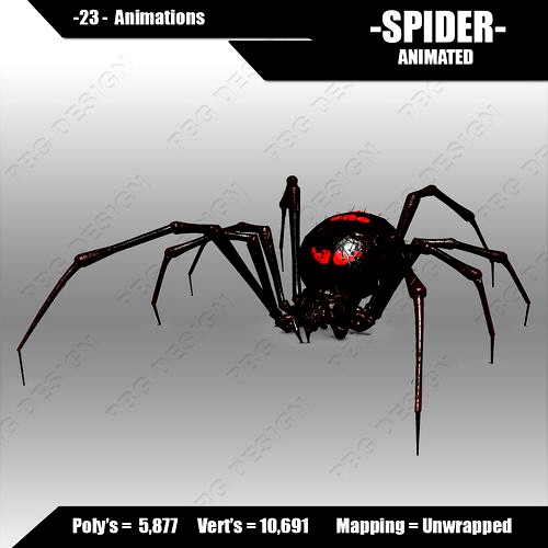 Spider 3d model
