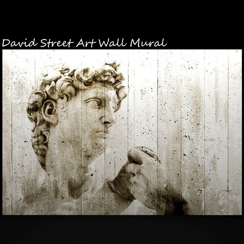 David Street Art Wall Mural 3d model
