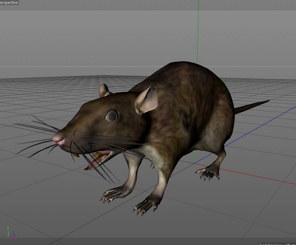 Rat Rig 3d model