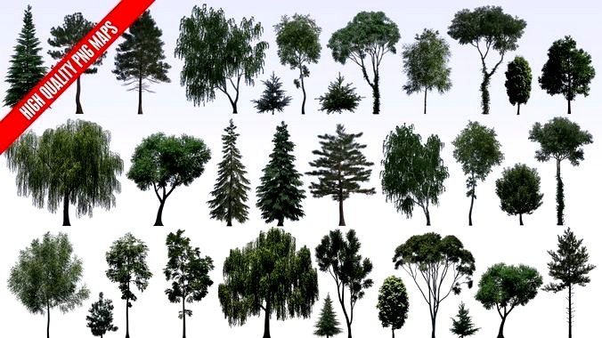 Textures4ever vol 8 - high resolution alpha trees in png forma 3d model