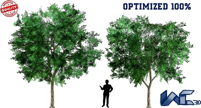 Prosopis Cineraria Tree Optimized 3d model