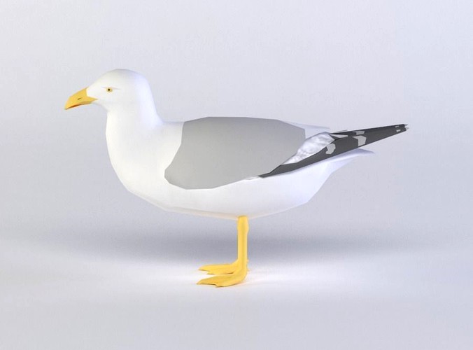 SEAGULL 3D MODEL
