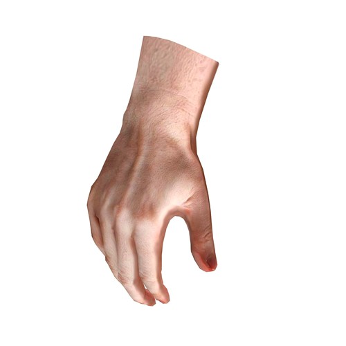 Realistic Low-poly Hand Base Mesh 3d model