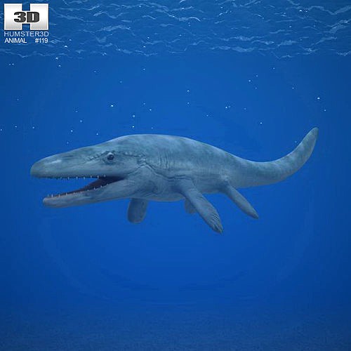 Mosasaurus Mosasaurus Hoffmannii 3d model