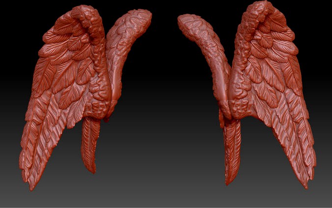 angel wings | 3D model