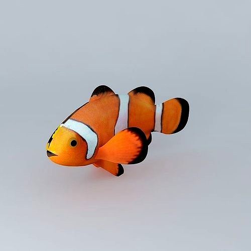Fish like Nemo 3d model