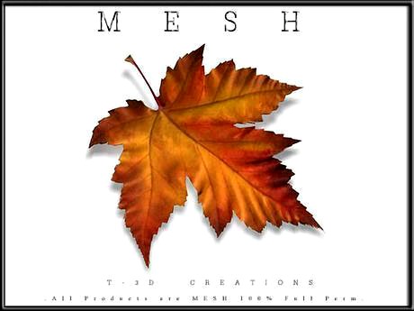 Autumn Leaf - 3D model