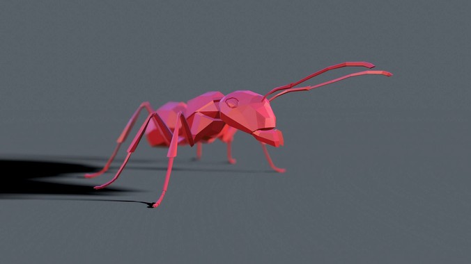 low poly ant for motion graphics 3d model