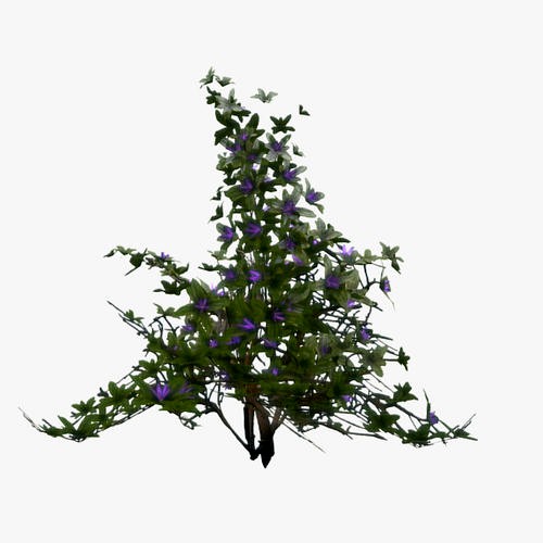 Low Poly PBR Flowering Bush 3d model