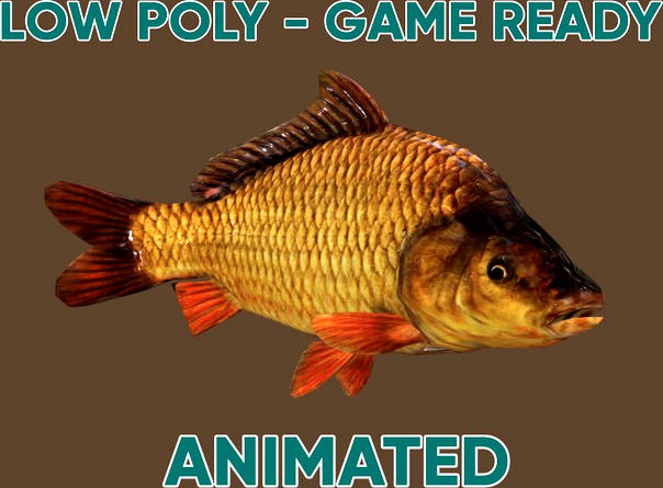 Low poly Carp Fish Animated - Game Ready 3d model