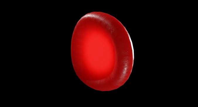 Red blood cell 3d model