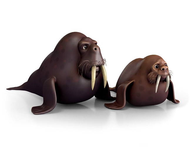 Cartoon Walrus Collection 3d model