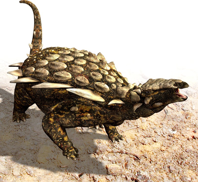 Gargoyleosaurus DR 3d model