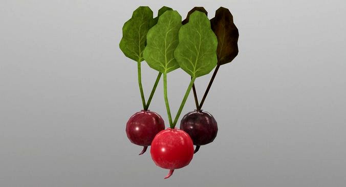Radish 3d model