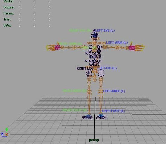 Hi-Q Biped Rig 3d model