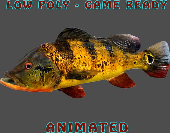 Low poly Peacock Bass Fish Animated - Game Ready 3d model