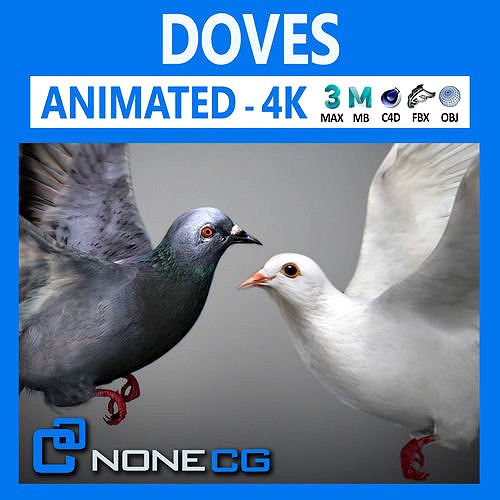 Doves Animated 3d model