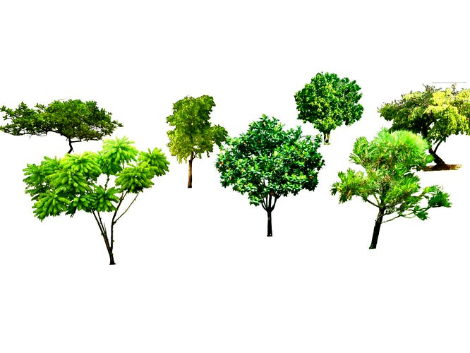 Garden Trees Low Poly 3d model