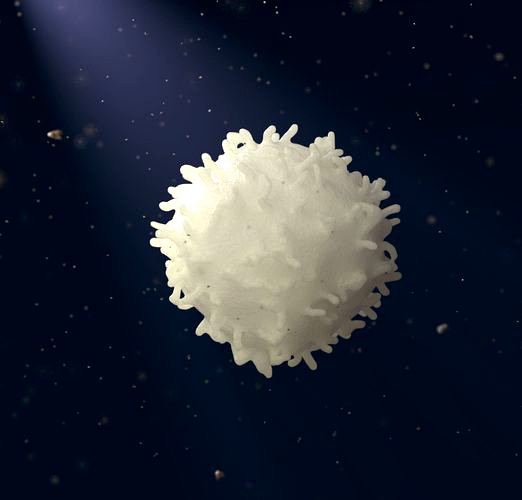 White Blood Cell 3d model