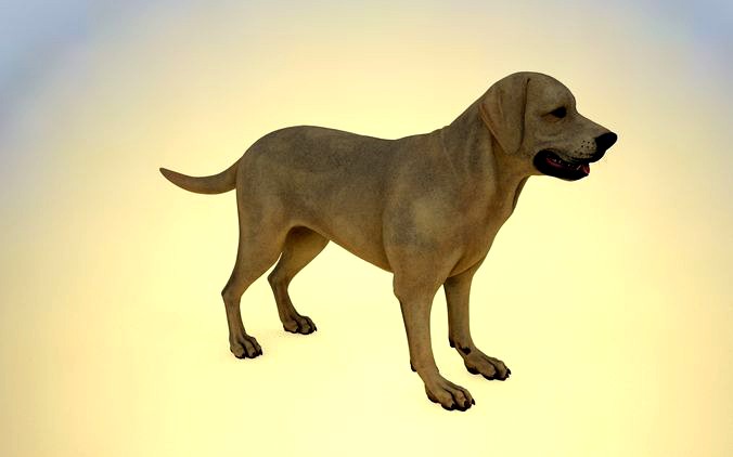 dog 3D model