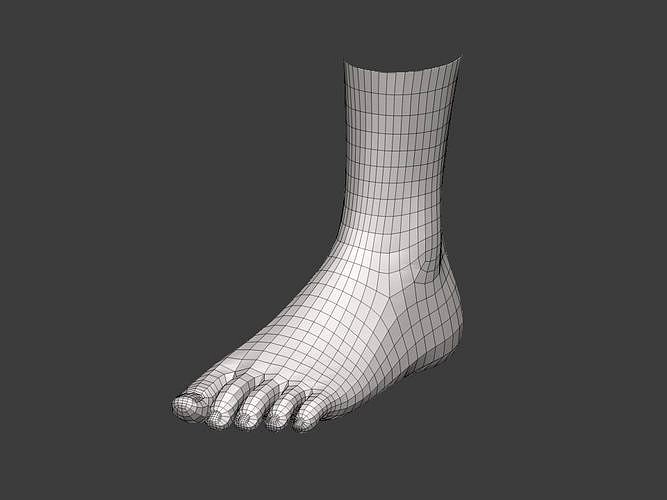 realistic female foot 3d model