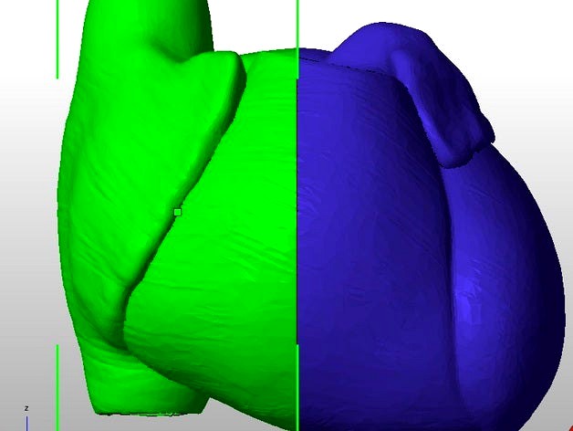 Human Heart Anatomical Model, Sliced on Sagittal Plane by muse7789 3d