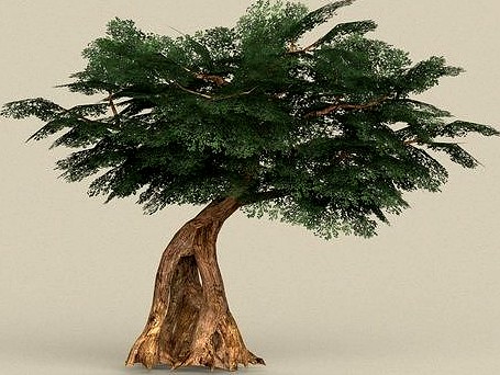 Game Ready Tree 04 3d model