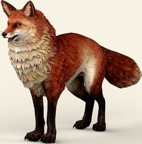 Game Ready Fox 3d model