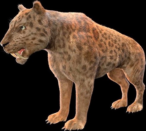 Saber Tooth Leopard Rigged Hairs 3d model