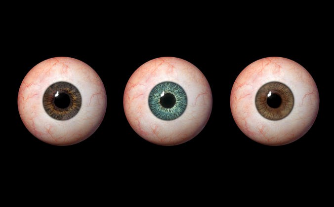 3d maya base model eye