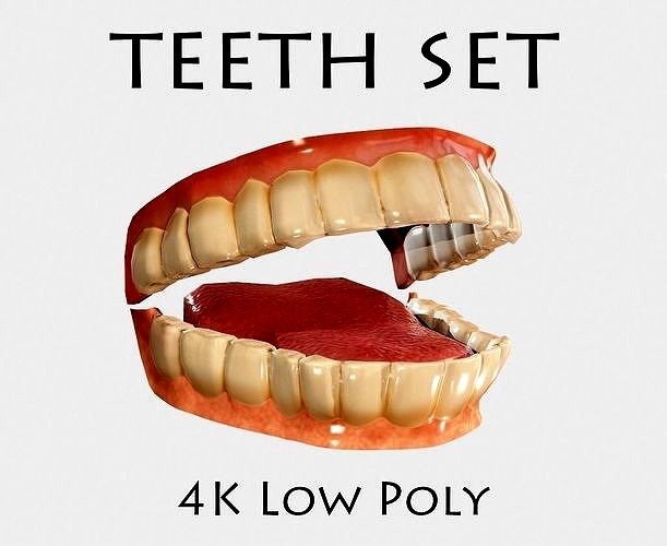 Teeth Low Poly Model 3d