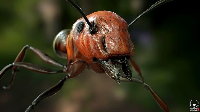 Red Ant Low Poly 3d model