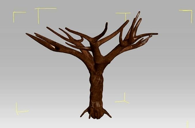 6 Old Tree 3d model