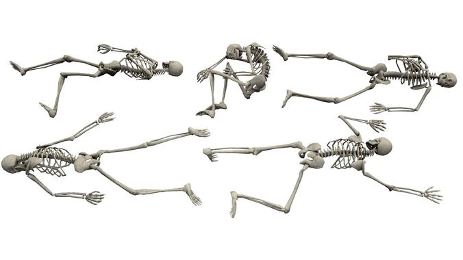Skeleton Laying Poses 3d model
