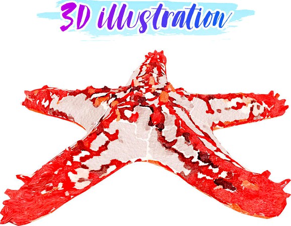 Low Poly Starfish Illustration Animated - Game Ready 3d model