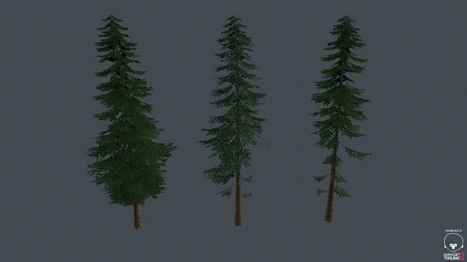 Game Ready Pine Trees 3d model
