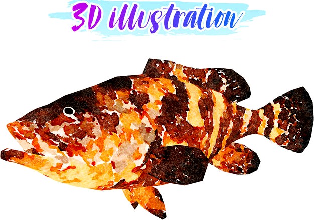 Low Poly Goliath Grouper Illustration Animated - Game Ready 3d model