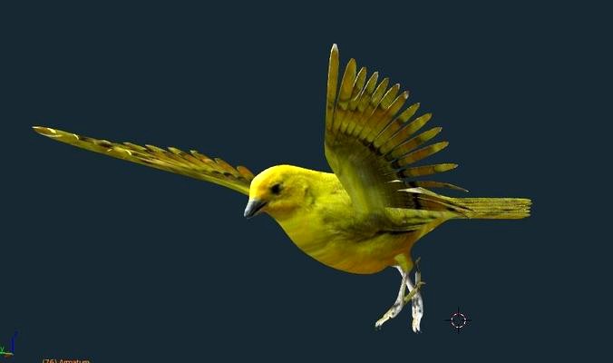 yellow bird animated 3d model
