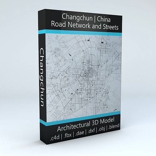 Changchun City Road Network and Streets 3d model