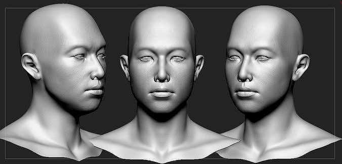 Man Head Base mesh 3d model