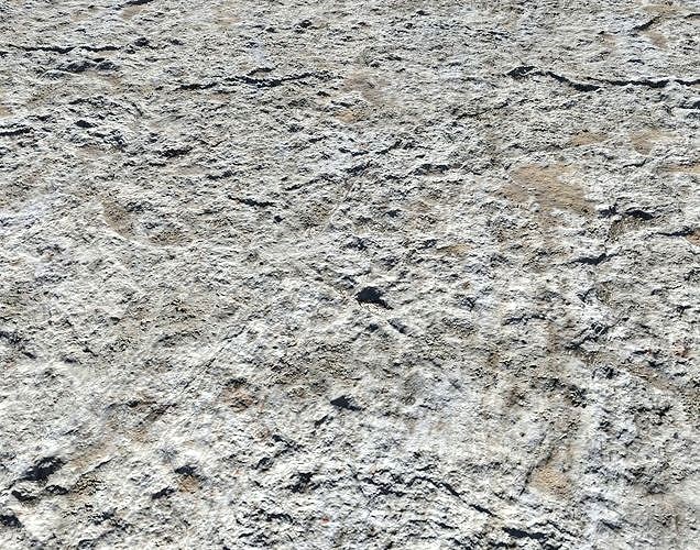 Rough White Ground PB 3d model