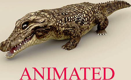 Realistic Animated Crocodile-Rigged 3d model