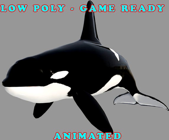 ORCA 3D MODEL - ANIMATED