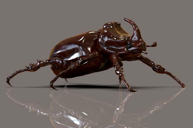 Rhinoceros beetles - Dynastinae 3d model