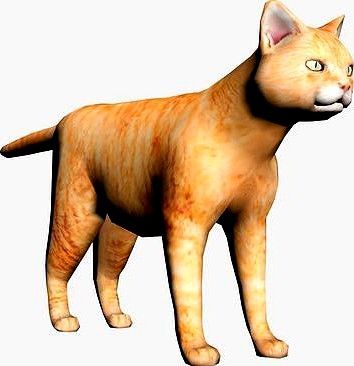 Cat 3D model