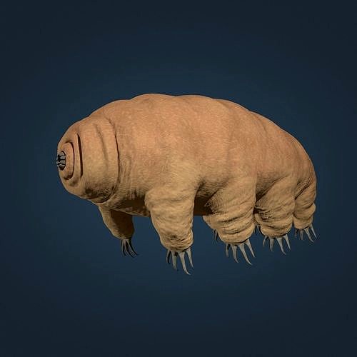 Tardigrade - Microscopic Bear 3d model