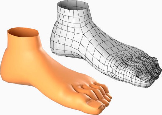 Foot for Cartoon Character Basemesh 3d model